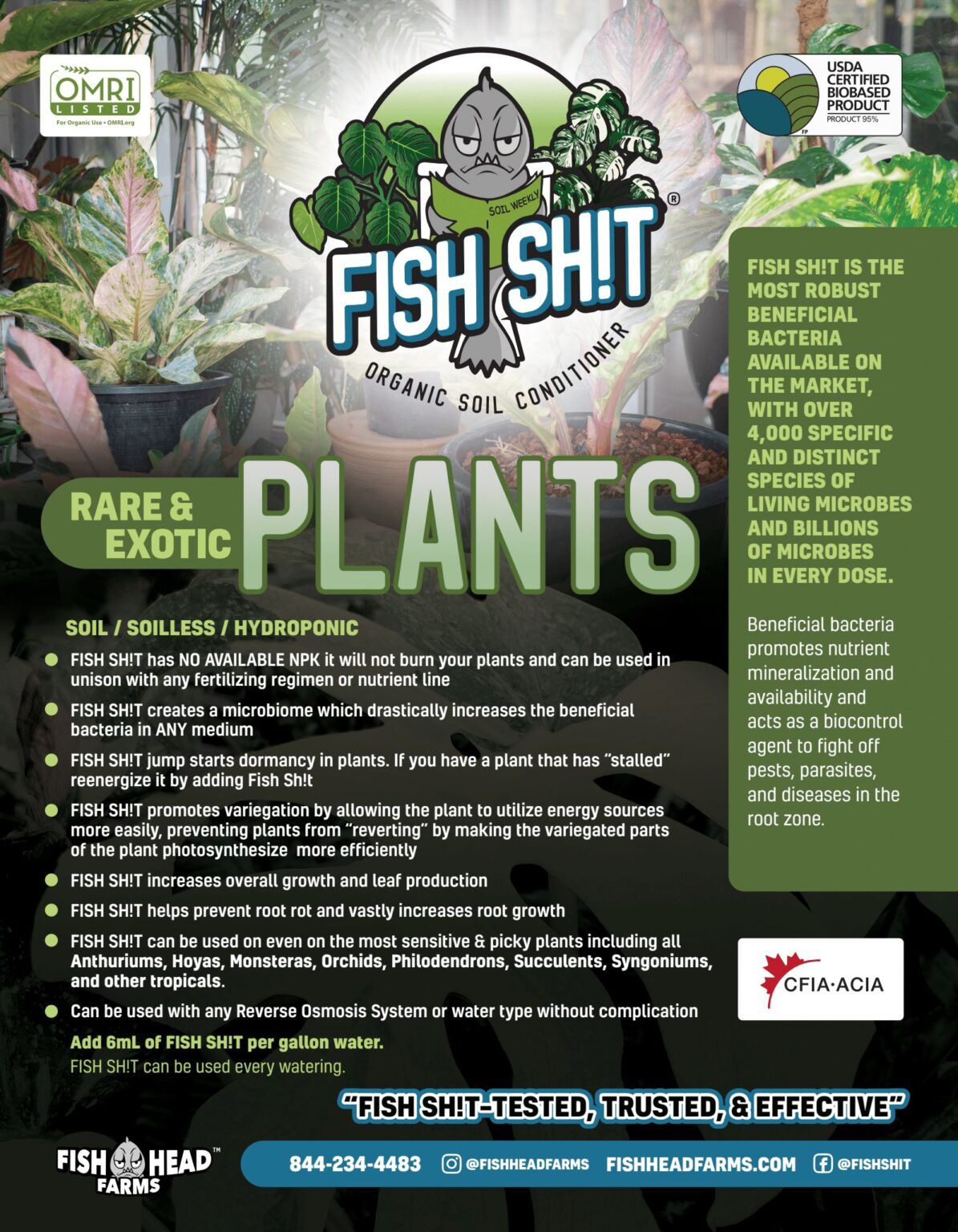 HOUSE PLANTS - Fish Head Farms