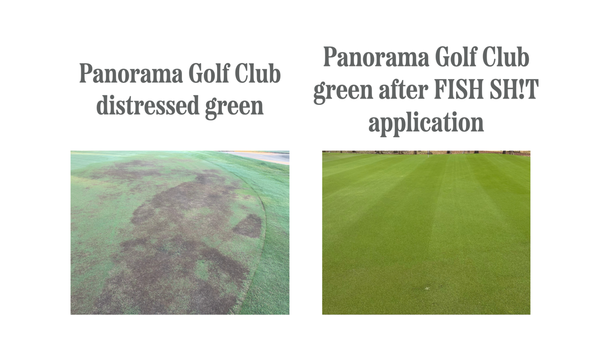GOLF & TURF - Fish Head Farms